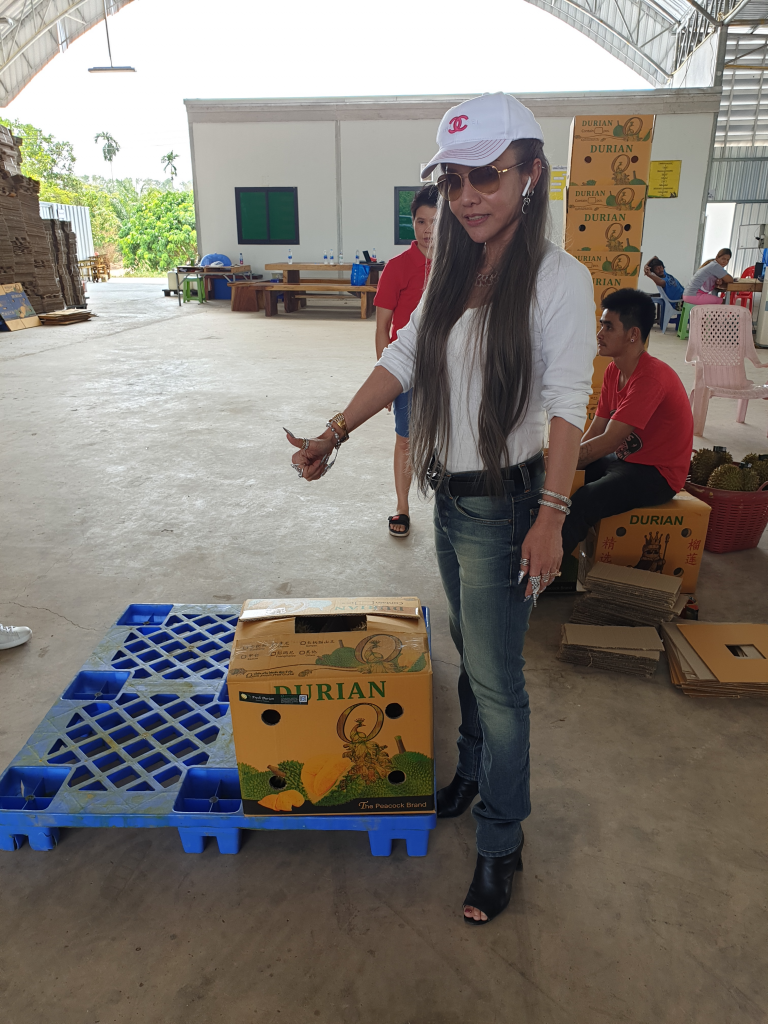 Financing The World’s First Blockchained Durians – Queen Frozen Fruit ...